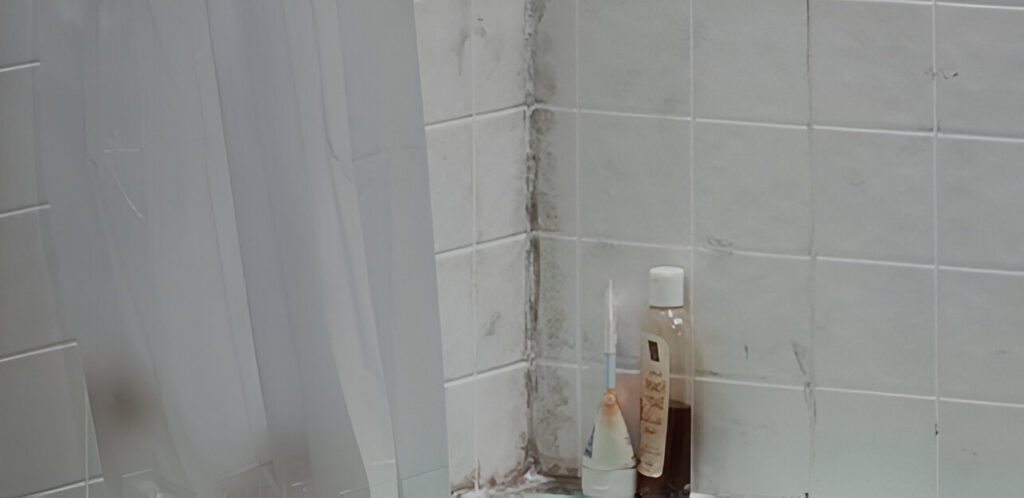 How to Get Rid of Mold in Your Shower
